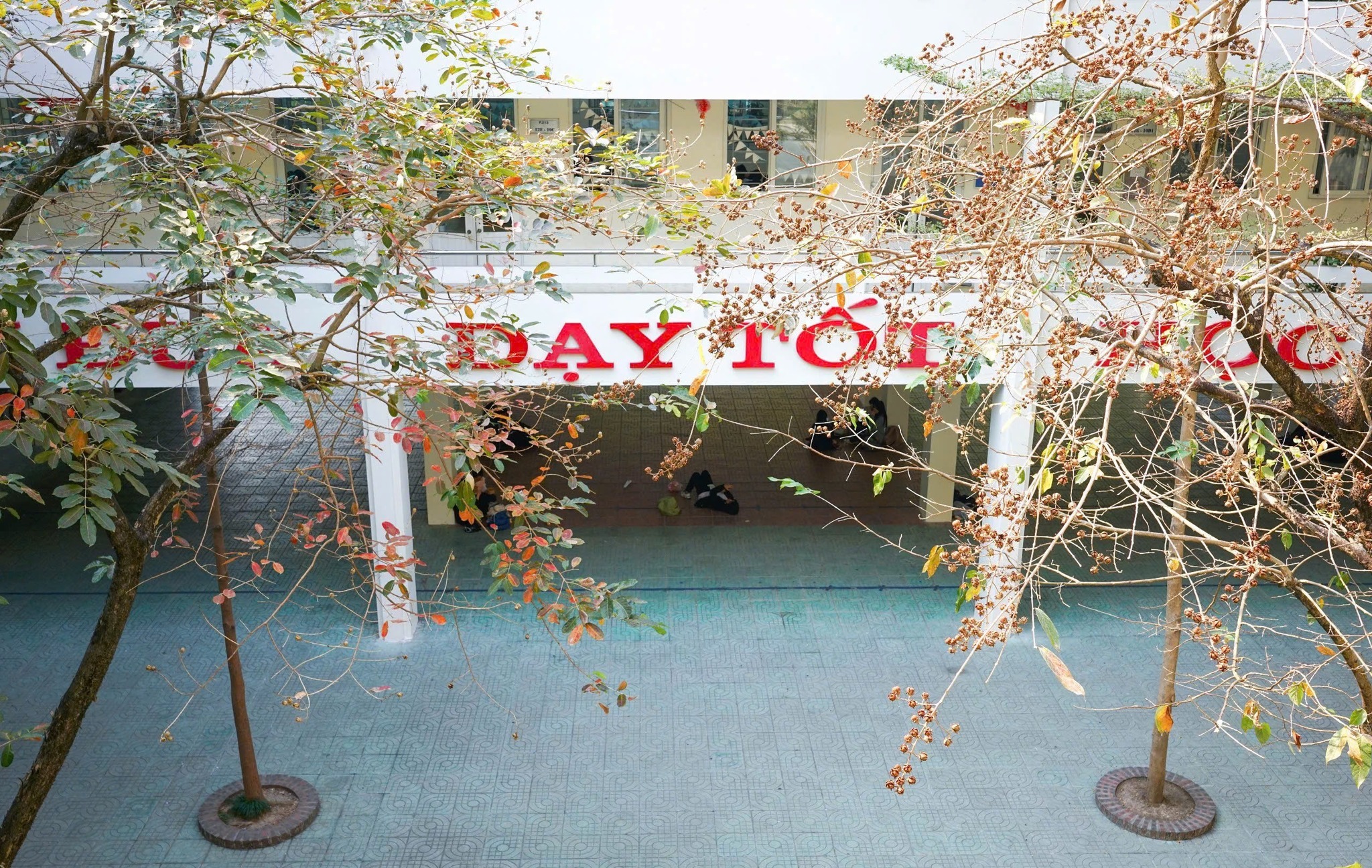 K54 CNN – Xuất sắc đạt 47 điểm 10 trong kỳ thi tốt nghiệp THPT 2025 – Trường THPT Chuyên Ngoại ngữ